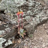 Barnhardt Trail Waterfall, Arizona - 928 Reviews, Map | AllTrails