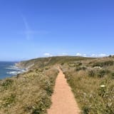 Tomales Point Trail, California - 6,564 Reviews, Map | AllTrails