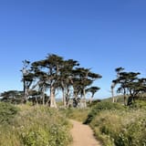 Tomales Point Trail, California - 6,564 Reviews, Map | AllTrails