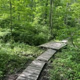 Monocacy Hill Trail, Pennsylvania - 1,874 Reviews, Map | AllTrails