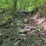 Monocacy Hill Trail, Pennsylvania - 1,874 Reviews, Map | AllTrails