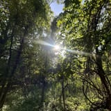 Hackensack River County Park Trail, New Jersey - 56 Reviews, Map ...