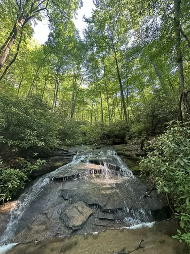 Best Hikes and Trails in Rabun Gap | AllTrails