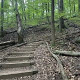 Jones Bridge Trail , Georgia - 2,722 Reviews, Map | AllTrails