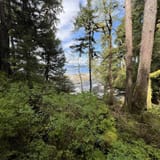 Lunch Falls Trail, Alaska - 72 Reviews, Map | AllTrails