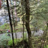 Lunch Falls Trail, Alaska - 72 Reviews, Map | AllTrails