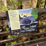 Lunch Falls Trail, Alaska - 72 Reviews, Map | AllTrails