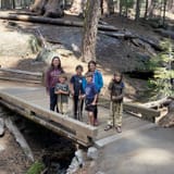 Congress Trail, California - 2,873 Reviews, Map | AllTrails