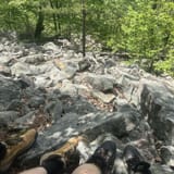 Meneka Peak Loop, Virginia - 556 Reviews, Map | AllTrails