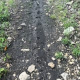 Clinton Lake North Shore Loop, Kansas - 348 Reviews, Map | AllTrails