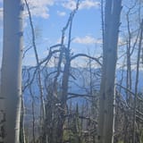 Thomas Lakes Trail, Colorado - 1,419 Reviews, Map | AllTrails