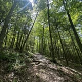 Mount Tremper Trail, New York - 1,591 Reviews, Map | AllTrails