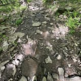 Mount Tremper Trail, New York - 1,591 Reviews, Map | AllTrails