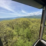 Mount Tremper Trail, New York - 1,591 Reviews, Map | AllTrails
