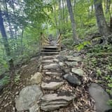 Mount Tremper Trail, New York - 1,591 Reviews, Map | AllTrails