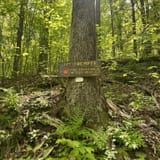 Mount Tremper Trail, New York - 1,591 Reviews, Map | AllTrails