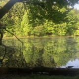 Mogadore Reservoir via Buckeye Trail, Ohio - 499 Reviews, Map | AllTrails