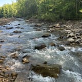 Butterfield Hiking Trail, Arkansas - 991 Reviews, Map | AllTrails