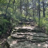 Butterfield Hiking Trail, Arkansas - 991 Reviews, Map | AllTrails