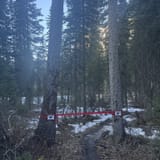 Emerald Lake Loop, British Columbia, Canada - 2,495 Reviews, Map ...