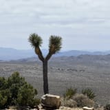 Ryan Mountain, California - 7,680 Reviews, Map | AllTrails