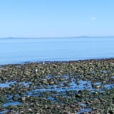 Dungeness Spit Trail, Washington - 1,576 Reviews, Map | AllTrails