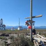 Dungeness Spit Trail, Washington - 1,576 Reviews, Map | AllTrails