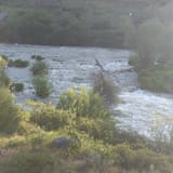 Link River Trail, Oregon - 480 Reviews, Map | AllTrails