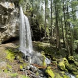 Grotto Falls Trail, Oregon - 131 Reviews, Map | AllTrails