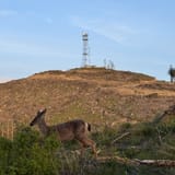Cable Line Trail to West Tiger #3, Washington - 2,284 Reviews, Map ...
