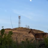 Cable Line Trail to West Tiger #3, Washington - 2,284 Reviews, Map ...