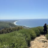 Ocean Overlook Loop, California - 1,003 Reviews, Map | AllTrails