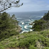 Point Lobos Loop, California - 7,752 Reviews, Map | AllTrails