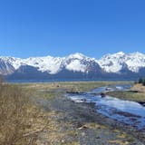 Tonsina Creek Trail, Alaska - 1,406 Reviews, Map | AllTrails