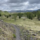 Hummocks Trail, Washington - 1,026 Reviews, Map | AllTrails