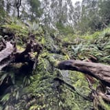 Cecilia Waterfall via Cecilia Forest, Western Cape, South Africa ...
