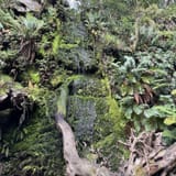 Cecilia Waterfall via Cecilia Forest, Western Cape, South Africa ...