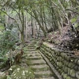 Mount Atago Loop, Kyoto, Japan - 182 Reviews, Map | AllTrails