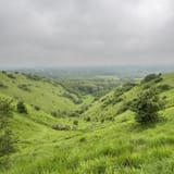 Wye and the North Downs Circular Walk, Kent, England - 658 Reviews, Map ...