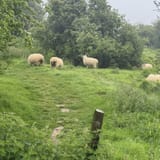 Wye and the North Downs Circular Walk, Kent, England - 658 Reviews, Map ...