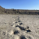 Picketwire Canyon Trail, Colorado - 286 Reviews, Map | AllTrails