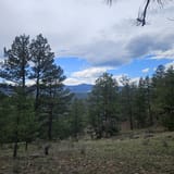 Panorama Point via Panorama Point and Bear Creek Trail, Colorado ...
