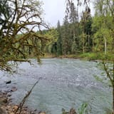 Robe Canyon Historic Trail, Washington - 965 Reviews, Map | AllTrails
