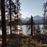 Lake Annette Loop, Alberta, Canada - 922 Reviews, Map | AllTrails