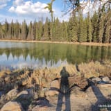 Lake Annette Loop, Alberta, Canada - 922 Reviews, Map | AllTrails