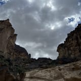 Timber Gulch, Oregon - 61 Reviews, Map | AllTrails