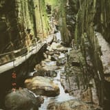 The Flume Gorge Trail, New Hampshire - 4,384 Reviews, Map | AllTrails
