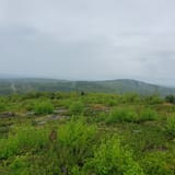 Blue Job Mountain Loop, New Hampshire - 2,023 Reviews, Map | AllTrails