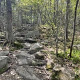 Black Cap and Cranmore Mountain via Black Cap Trail, New Hampshire ...