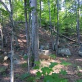 Trail of the Muscogee, Georgia - 501 Reviews, Map | AllTrails